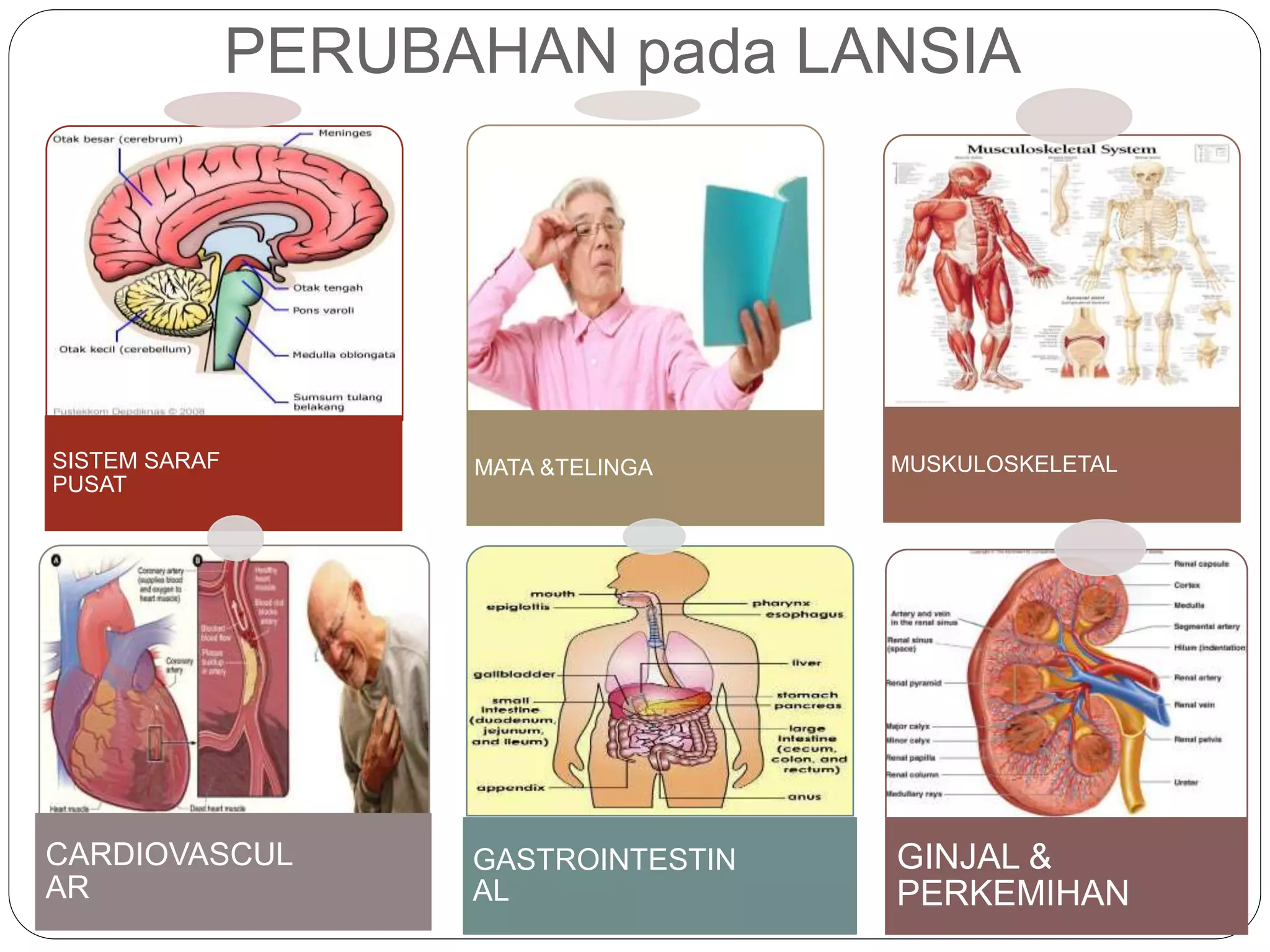 LANSIA SEHAT DAN MANDIRI.pptx