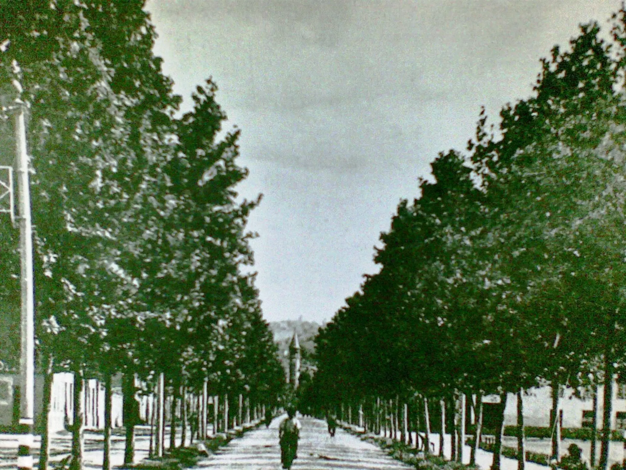 La città di Alba nelle foto d'epoca | PPT
