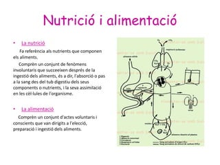 La nutrició | PPT