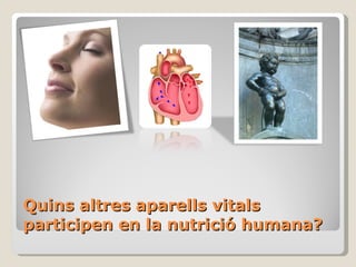 La Nutrició Humana | PPT