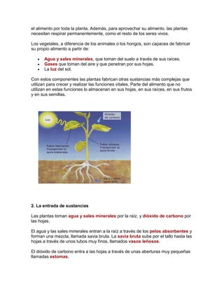 La nutrición | DOCX