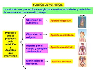 La nutrición | PPT