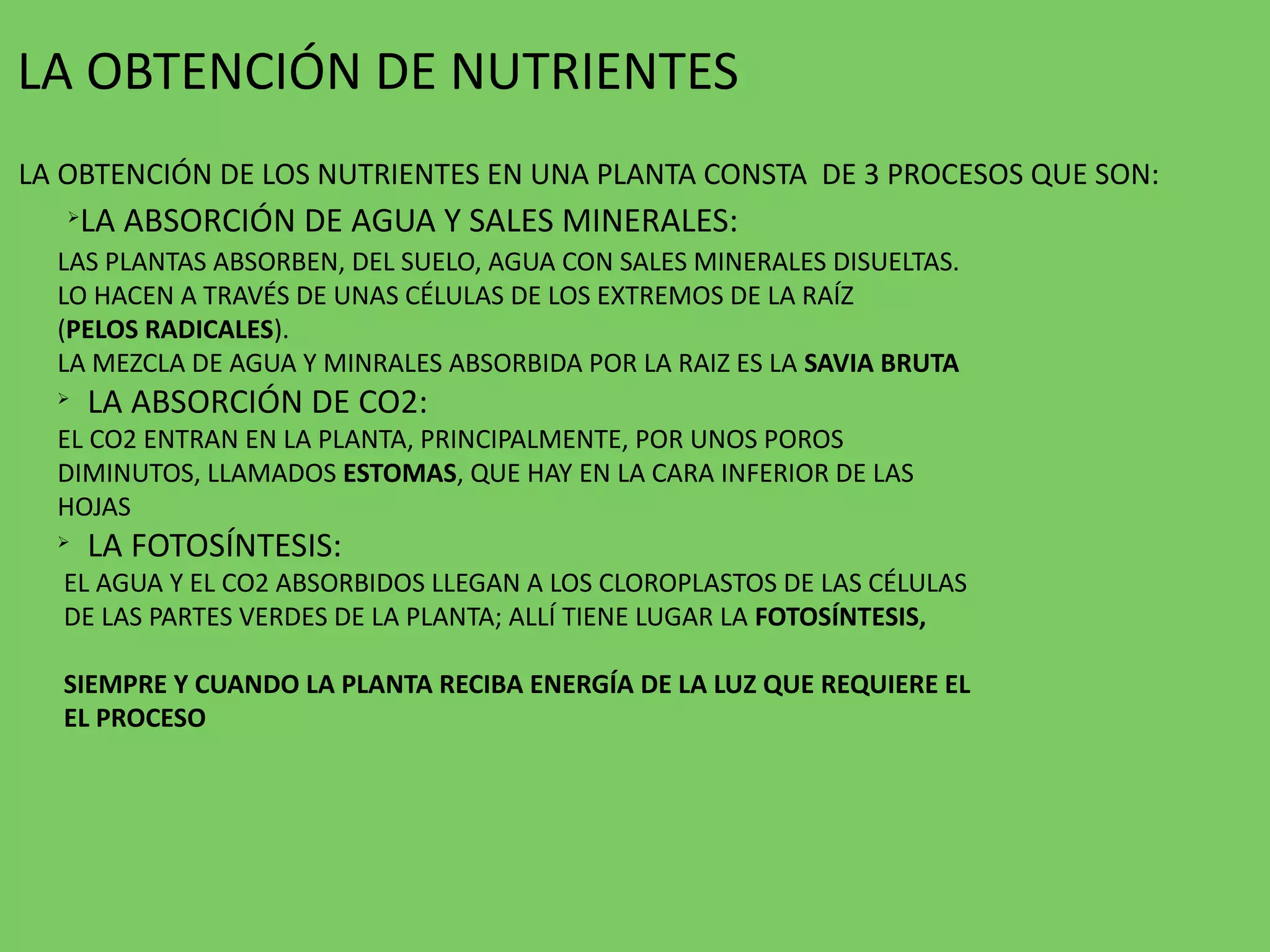 La Nutrición De Las Plantas Ppt