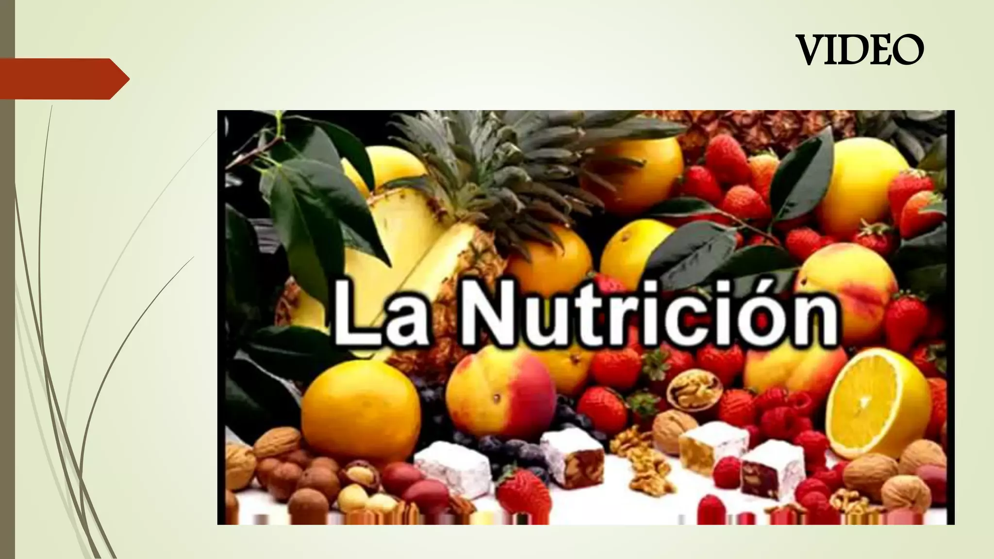 La nutrición humana | PPT