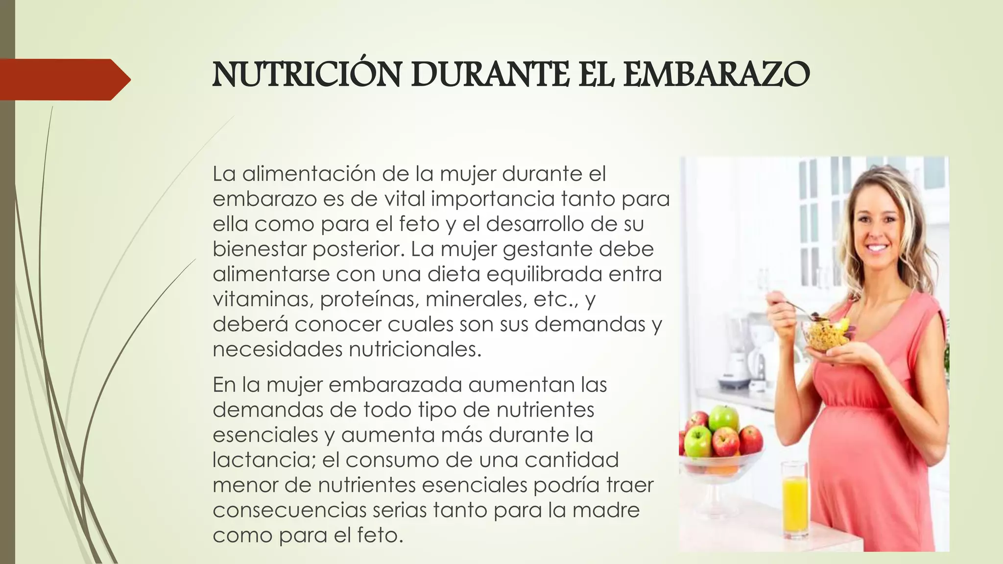 La nutrición humana | PPT