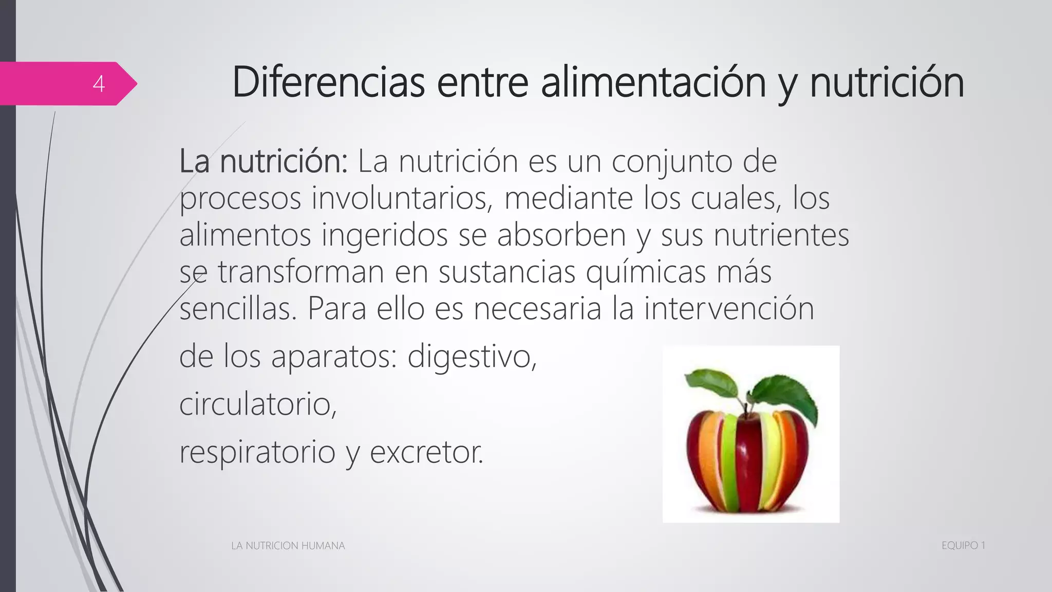 La nutrición humana | PPTX | Nutrition | Healthy Living