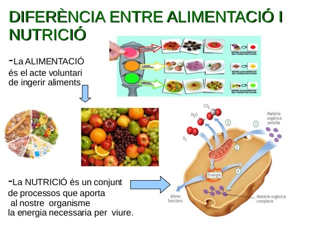 LA NUTRICIÓ : Què és la nutrició? | zerserradancosa