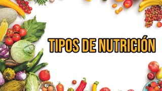 la nutricion | PPTX