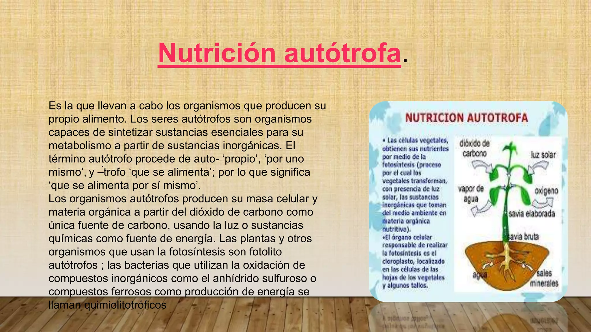 la nutricion | PPTX