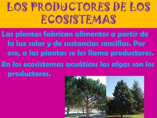 La nutricion en_los_ecosistemas | PPTX | Food Movements | Food & Drink