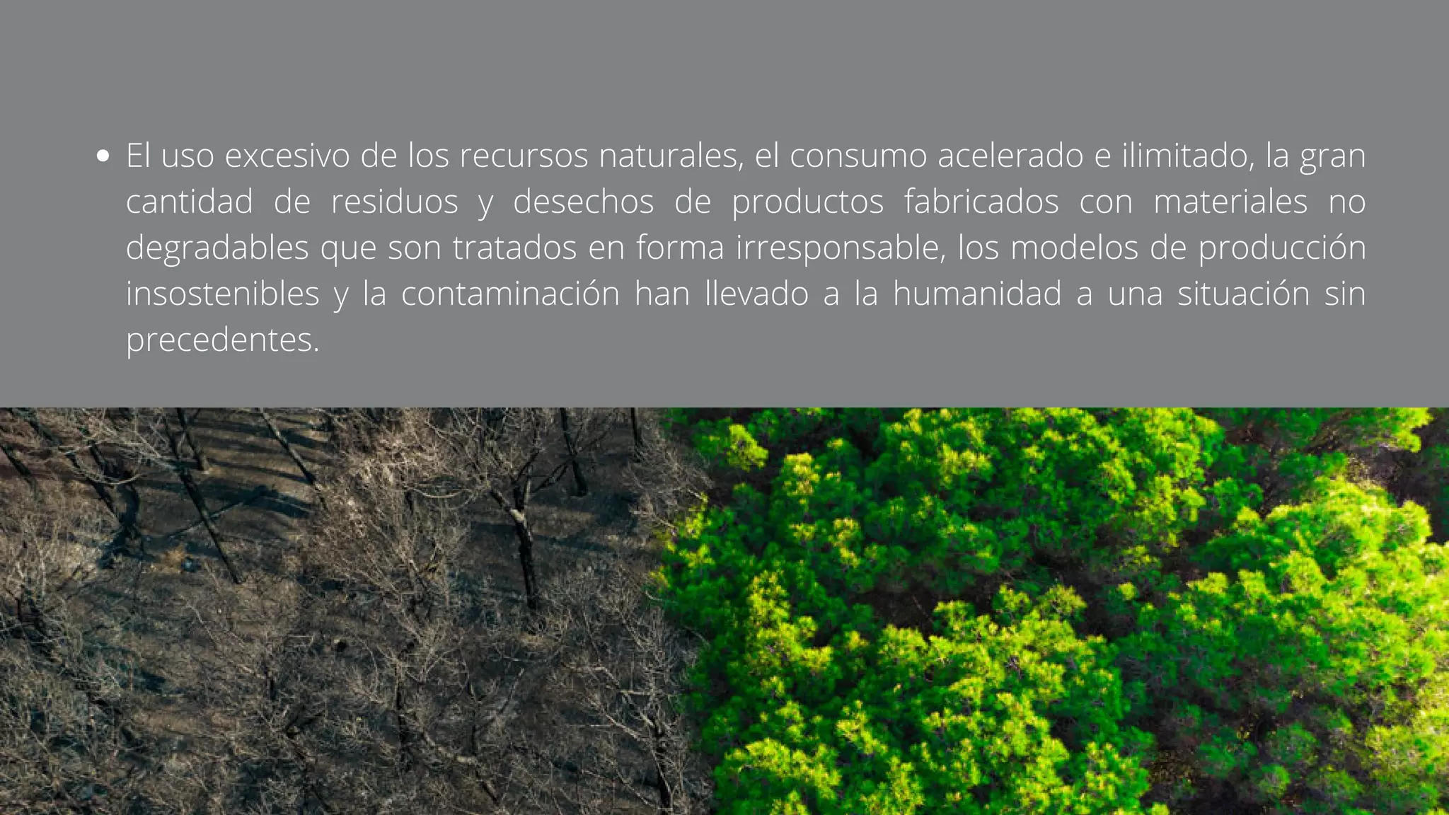 La obsolescencia programada y sus efectos en el medio ambiente..pdf
