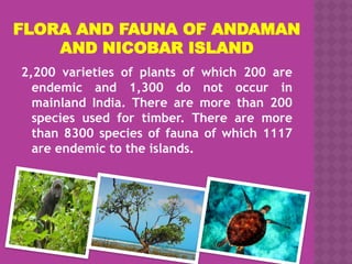 LAOCATOION OF ANDAMAN AND NICOBAR ISLAND.pptx