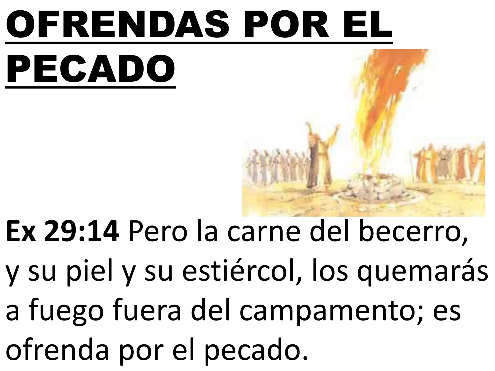 La ofrenda según la biblia | PPSX