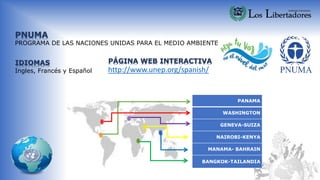 La onu – el sistema de las naciones unidas | PPTX