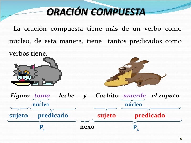 La oración compuesta I