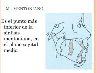 La ortodoncia cefalometria | PPT