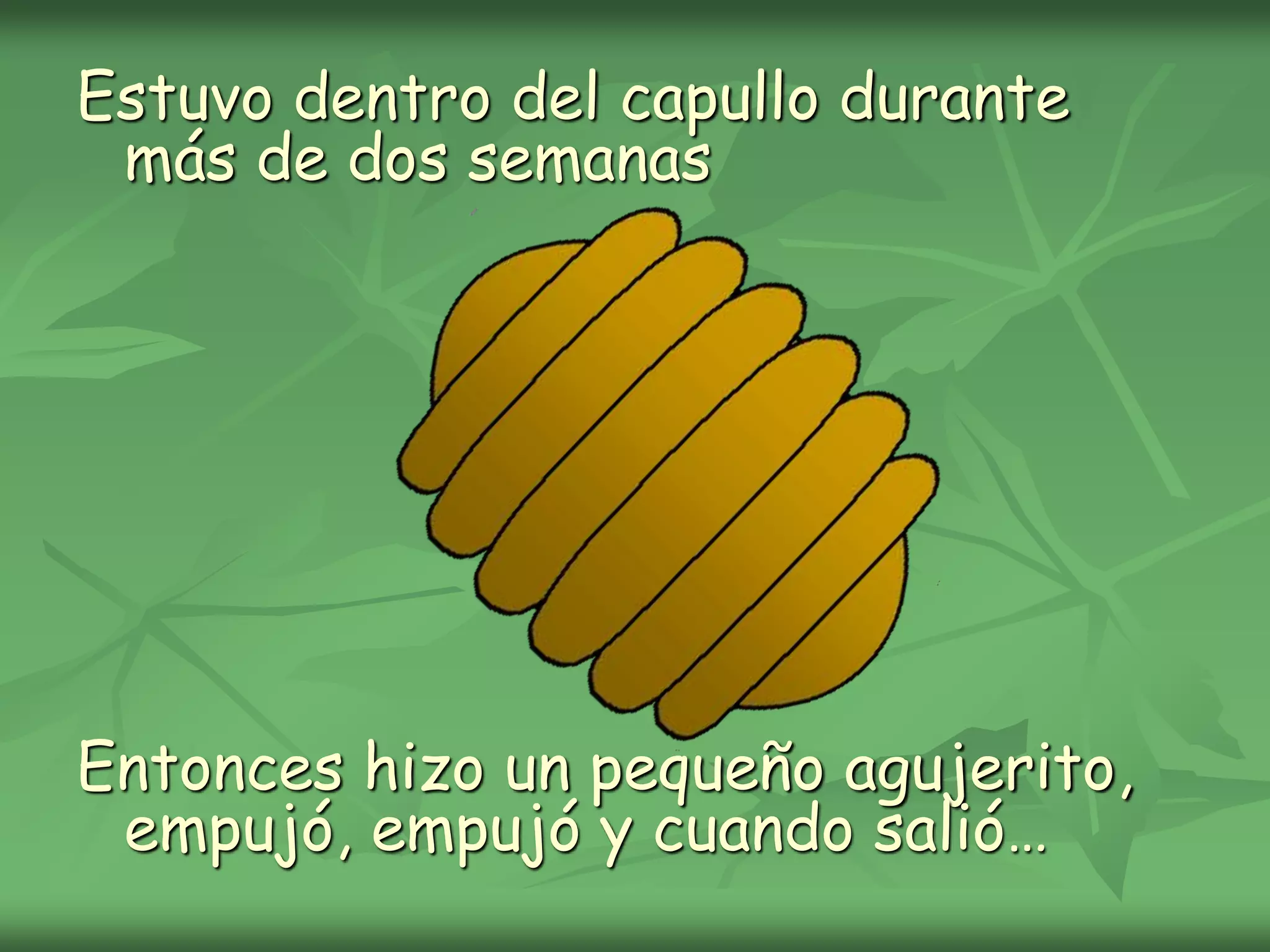 La oruga glotona | PPT | National & Civic Holidays | Holidays