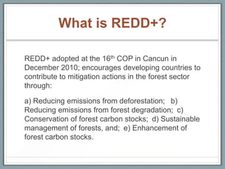 Laos redd intro | PPTX