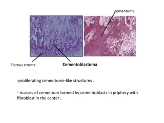 pathology Lap | PPTX