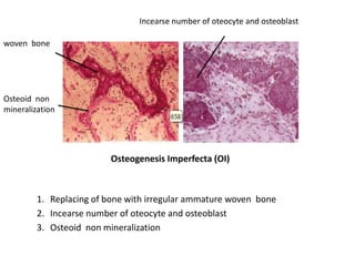 pathology Lap | PPTX