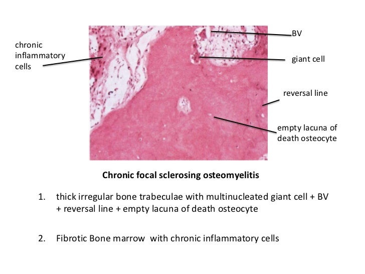 pathology Lap