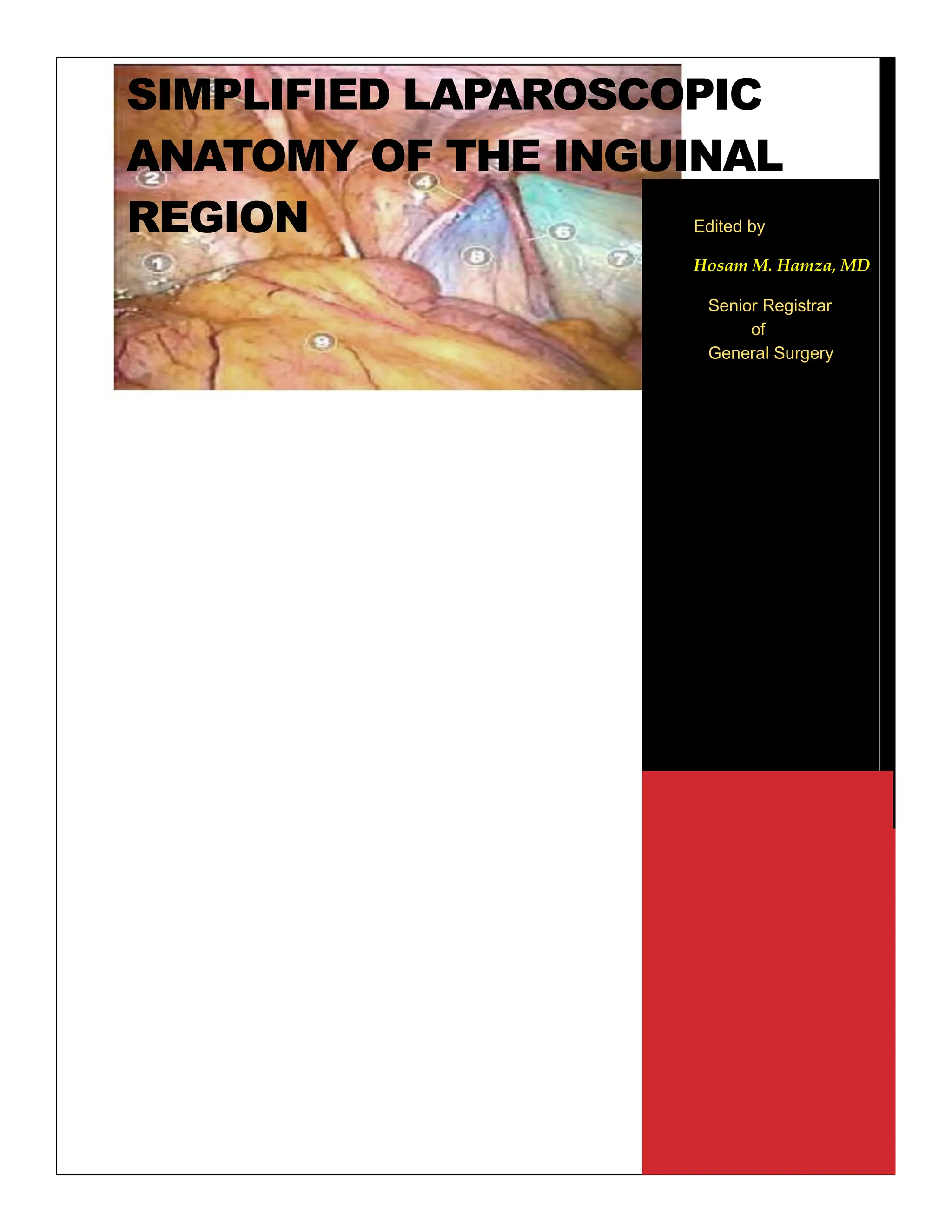lap anatomy of the inguinal region.pdf