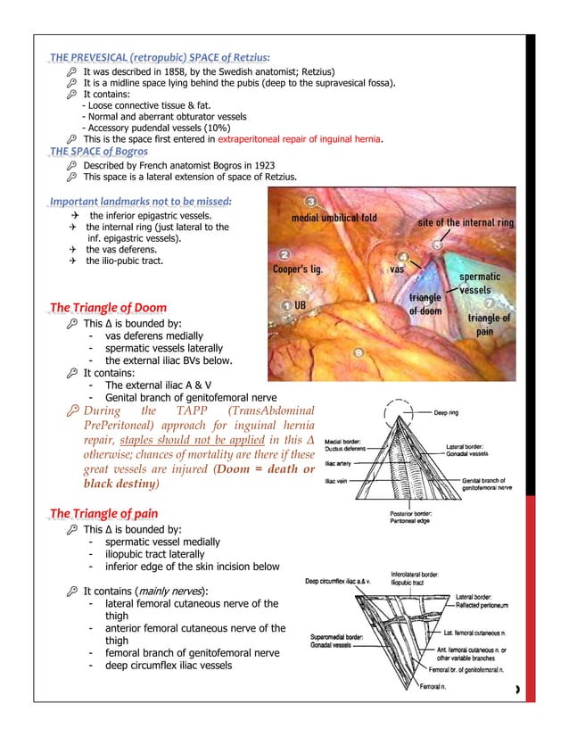 lap anatomy of the inguinal region.pdf | Death, Injury, or Military ...