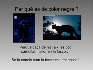La pantera negra | PPT