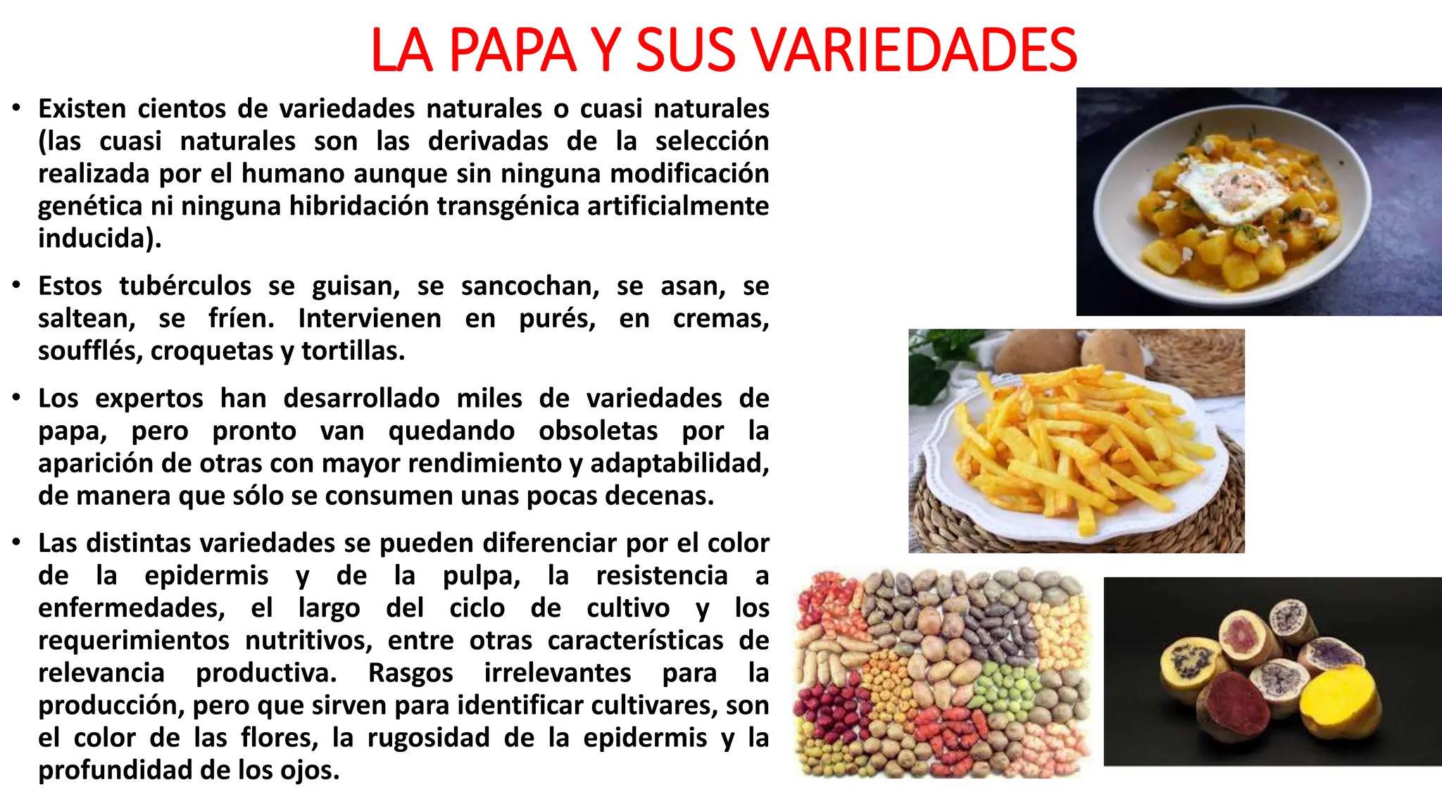 La papa y sus variedades y su preparación | PPTX