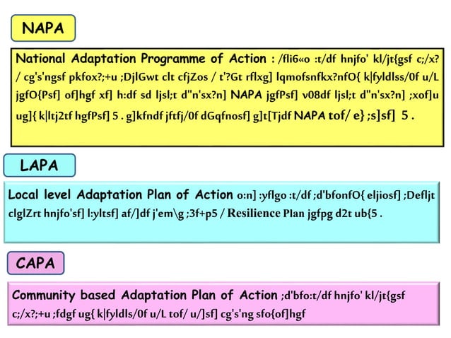 Steps of Local Adaptation Plan of Action (LAPA Process) in Community ...