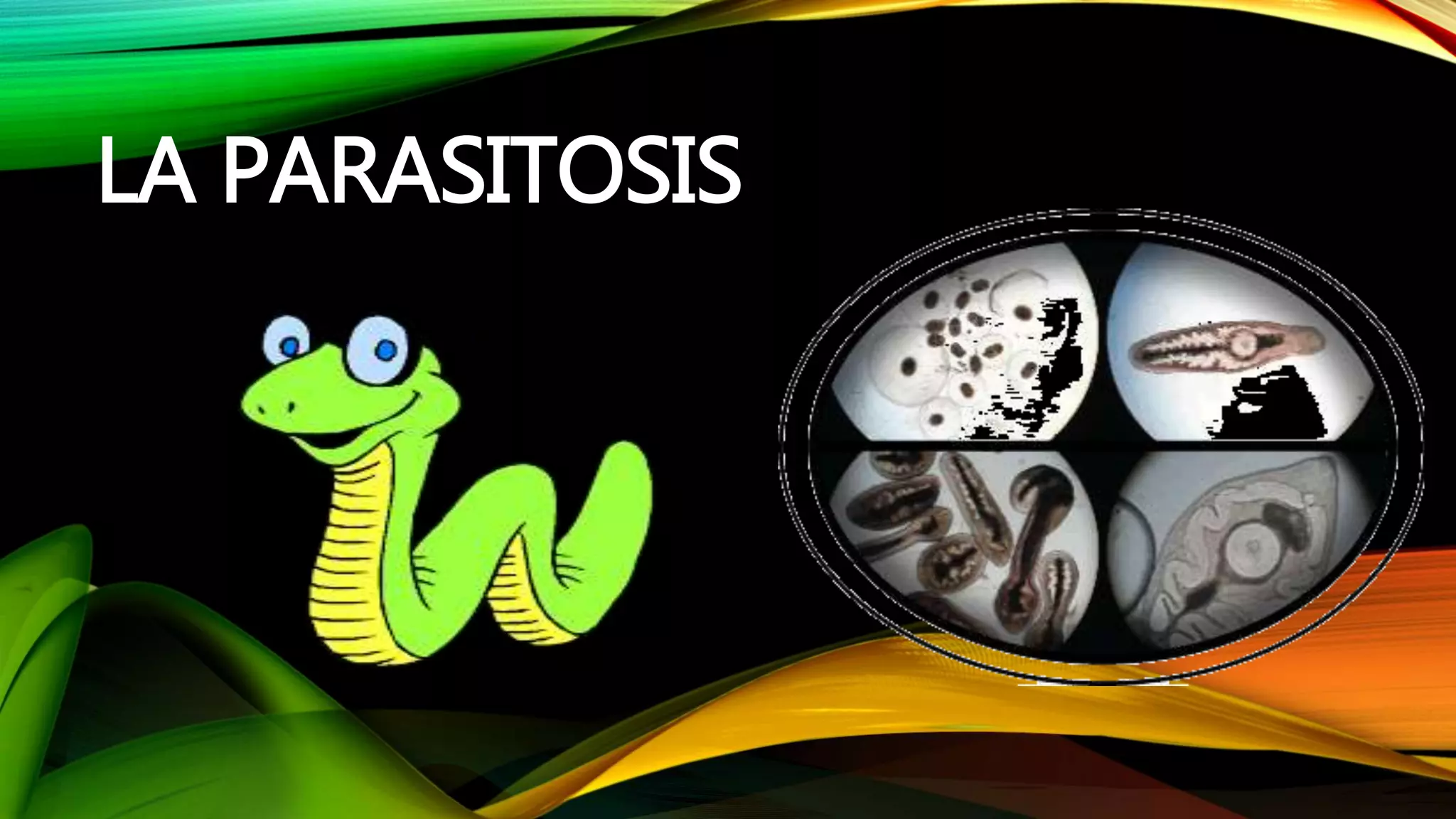 La parasitosis | PPTX