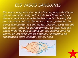 L'aparell circulatori | PPT