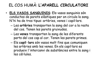 L'aparell circulatori | PPTX