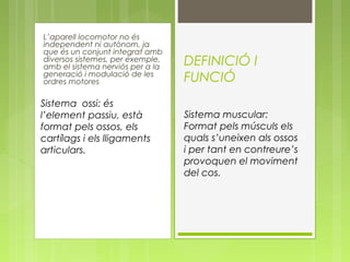 L’aparell locomotor | PPT