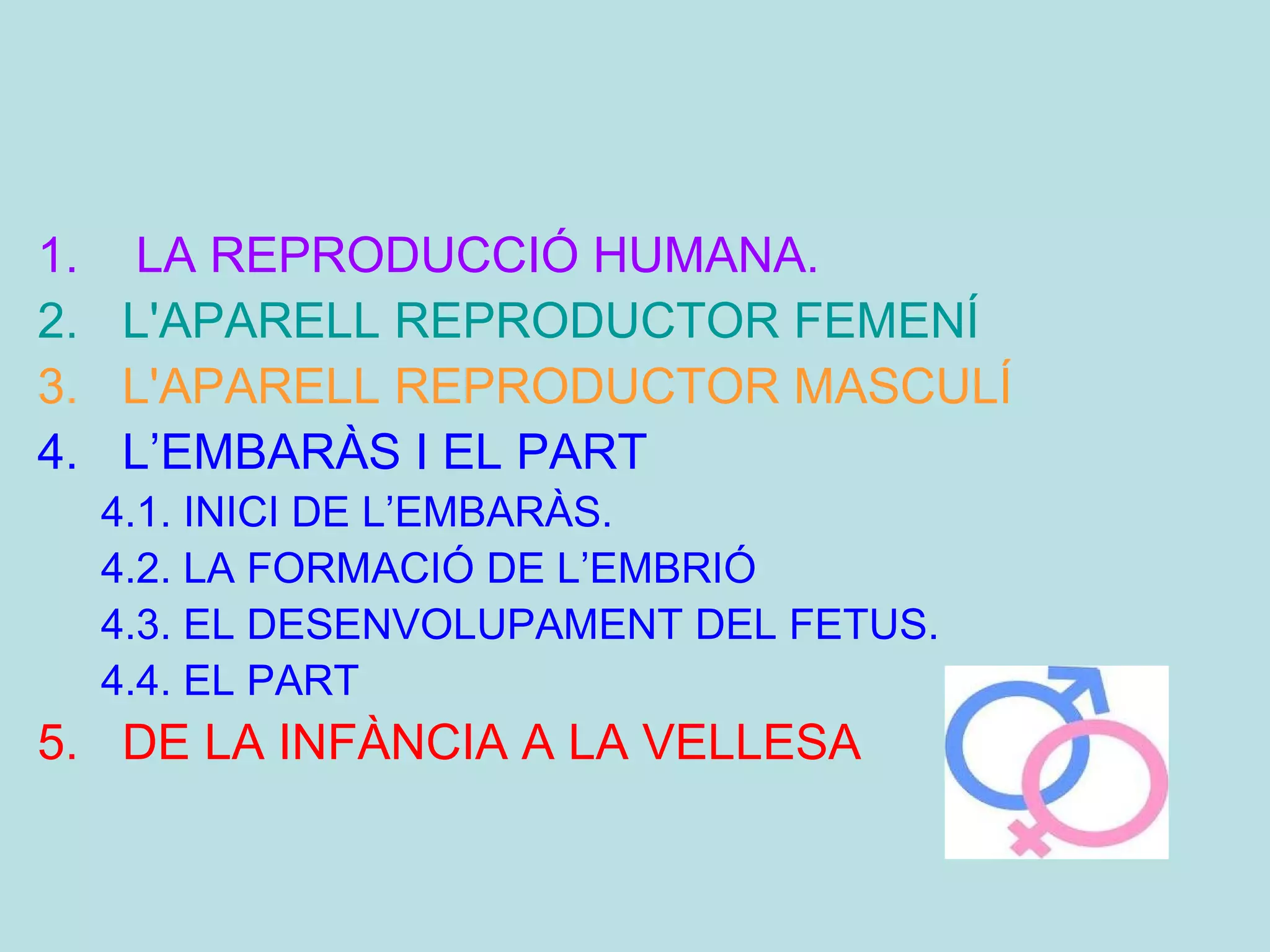 L'aparell reproductor dels éssers humans | PPS