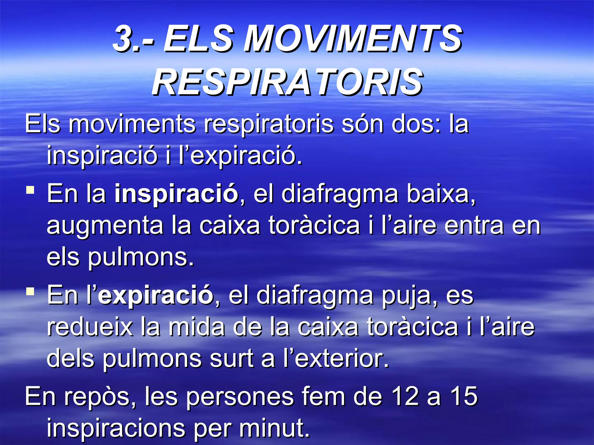 L’aparell respiratori | PPT