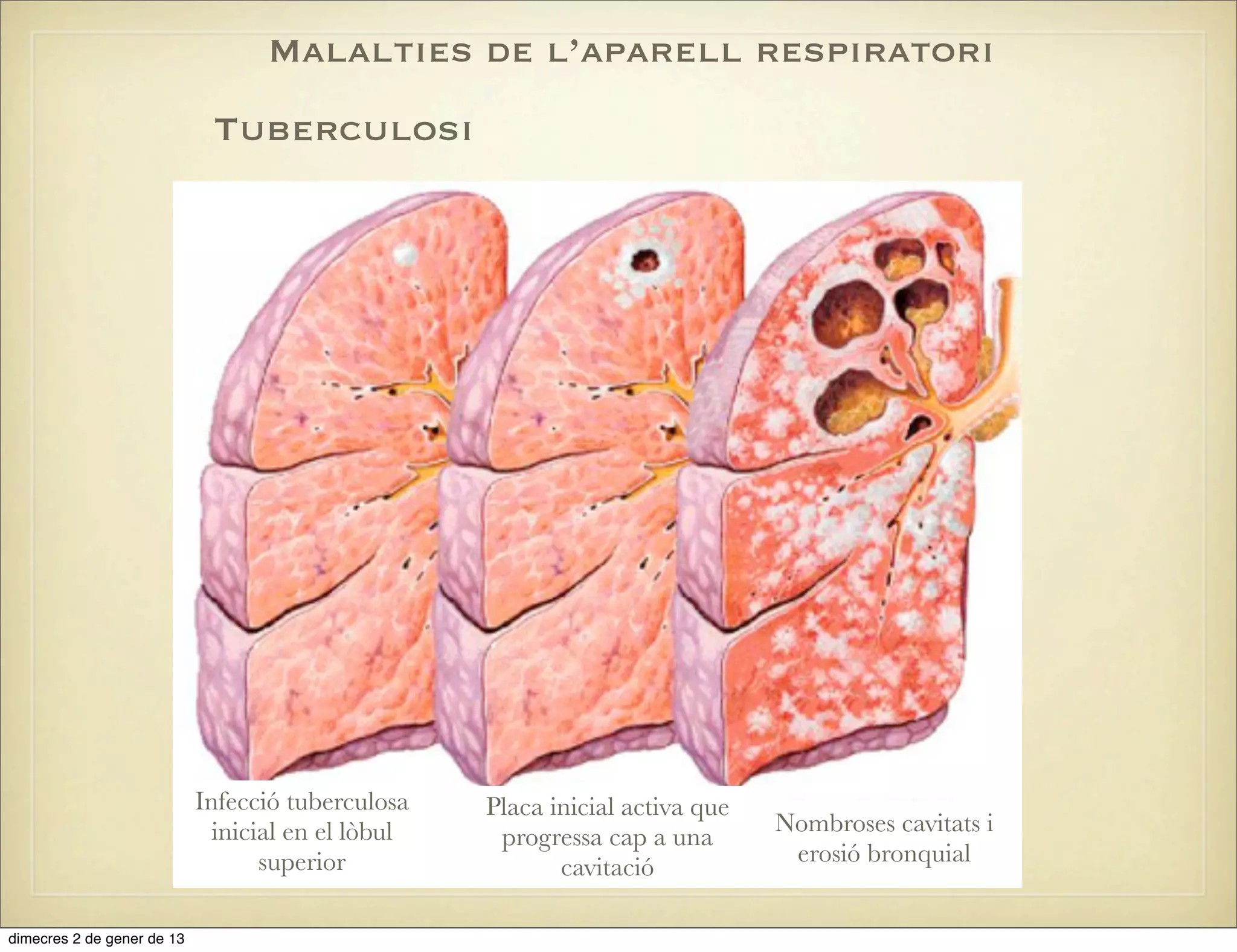 L'aparell respiratori | PDF