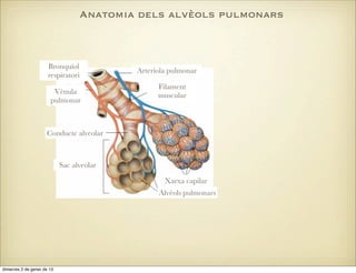 L'aparell respiratori | PDF