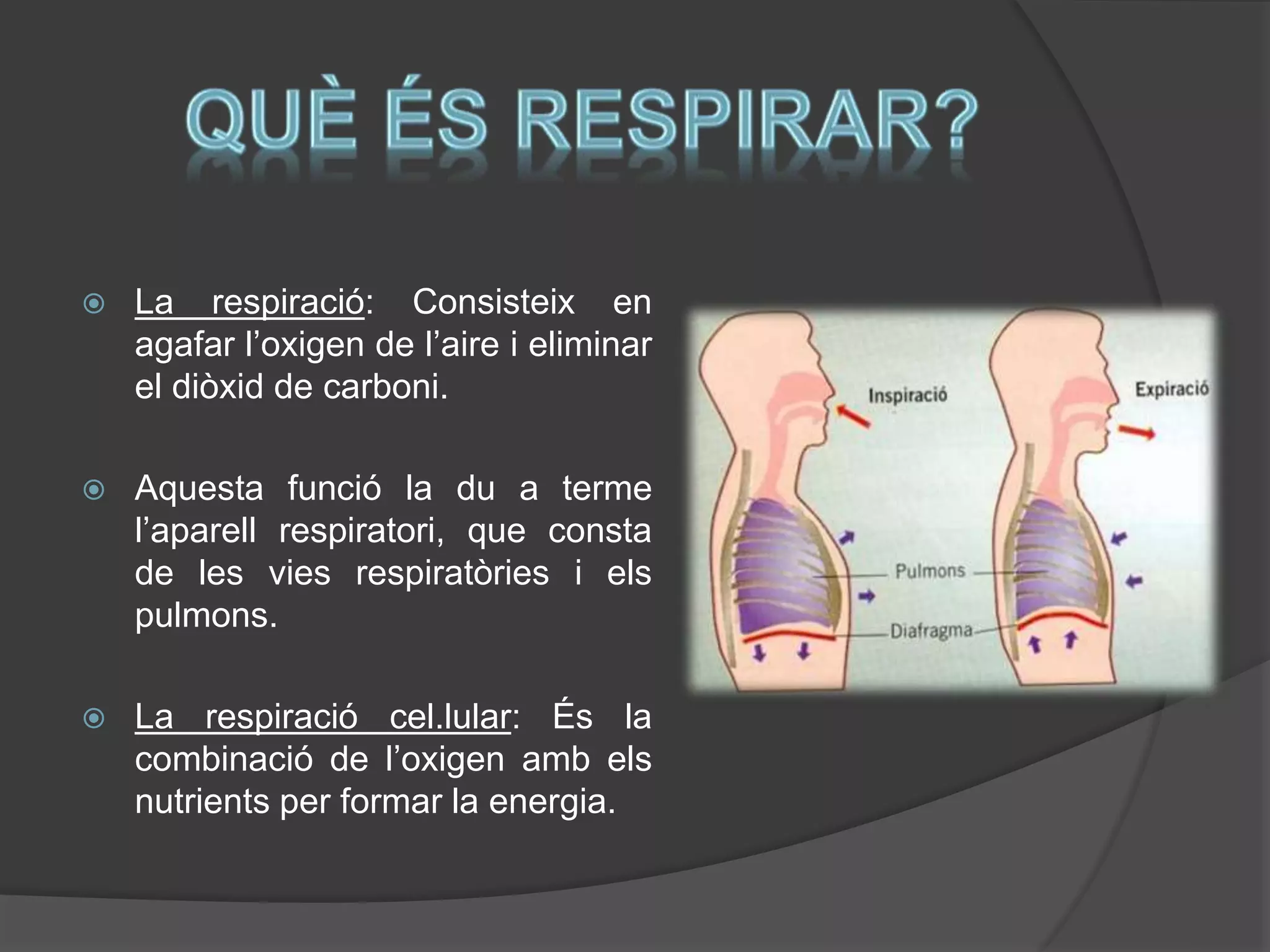 L’aparell respiratori | PPTX