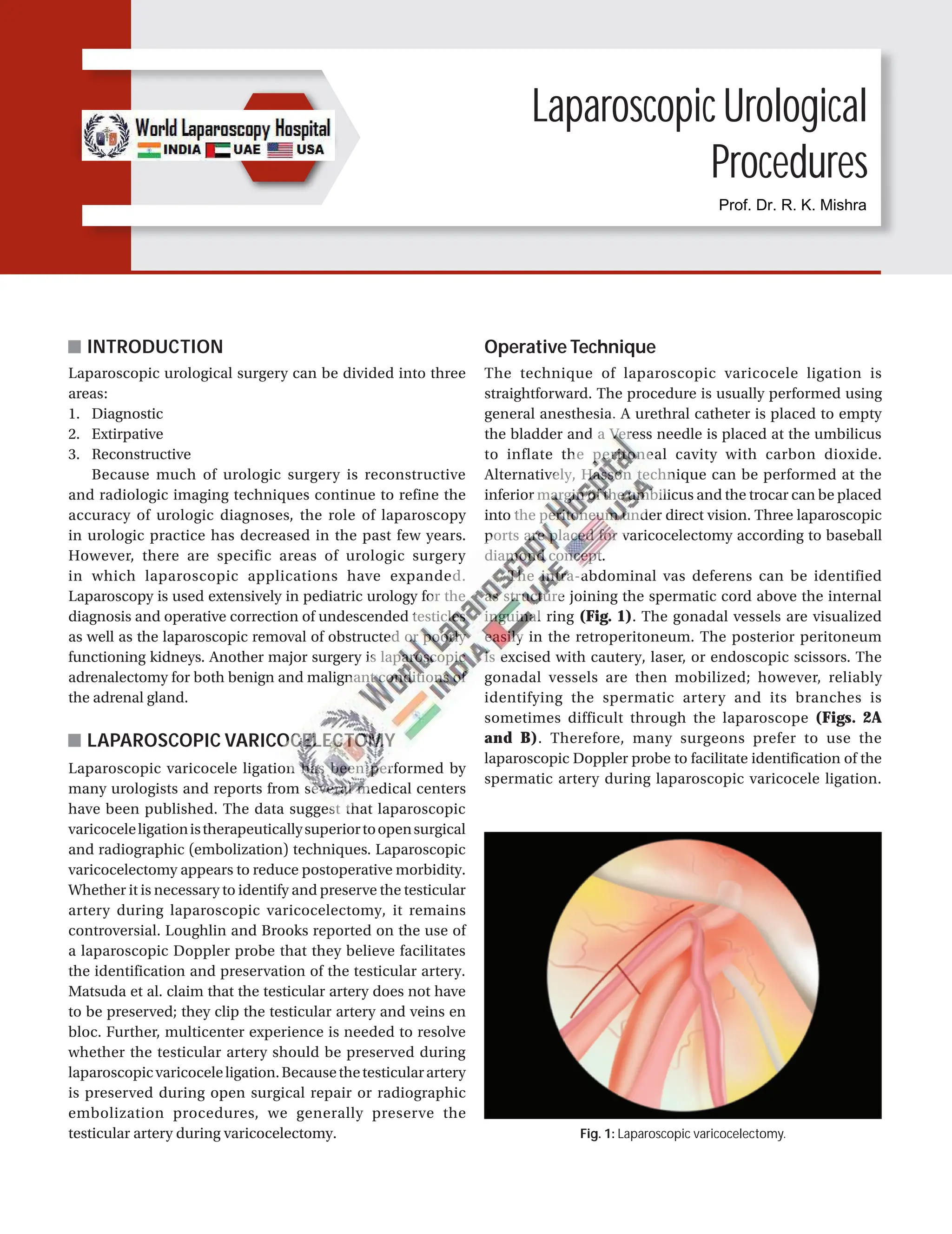Laparoscopic Urological Procedures at WLH | PDF