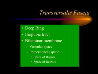Laparoscopic anatomy of inguinal canal | PPT