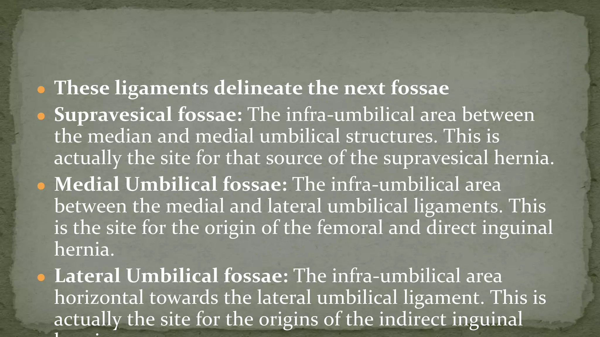 Laparoscopic anatomy of inguinal hernia | PPTX