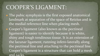 Laparoscopic anatomy of inguinal hernia | PPTX
