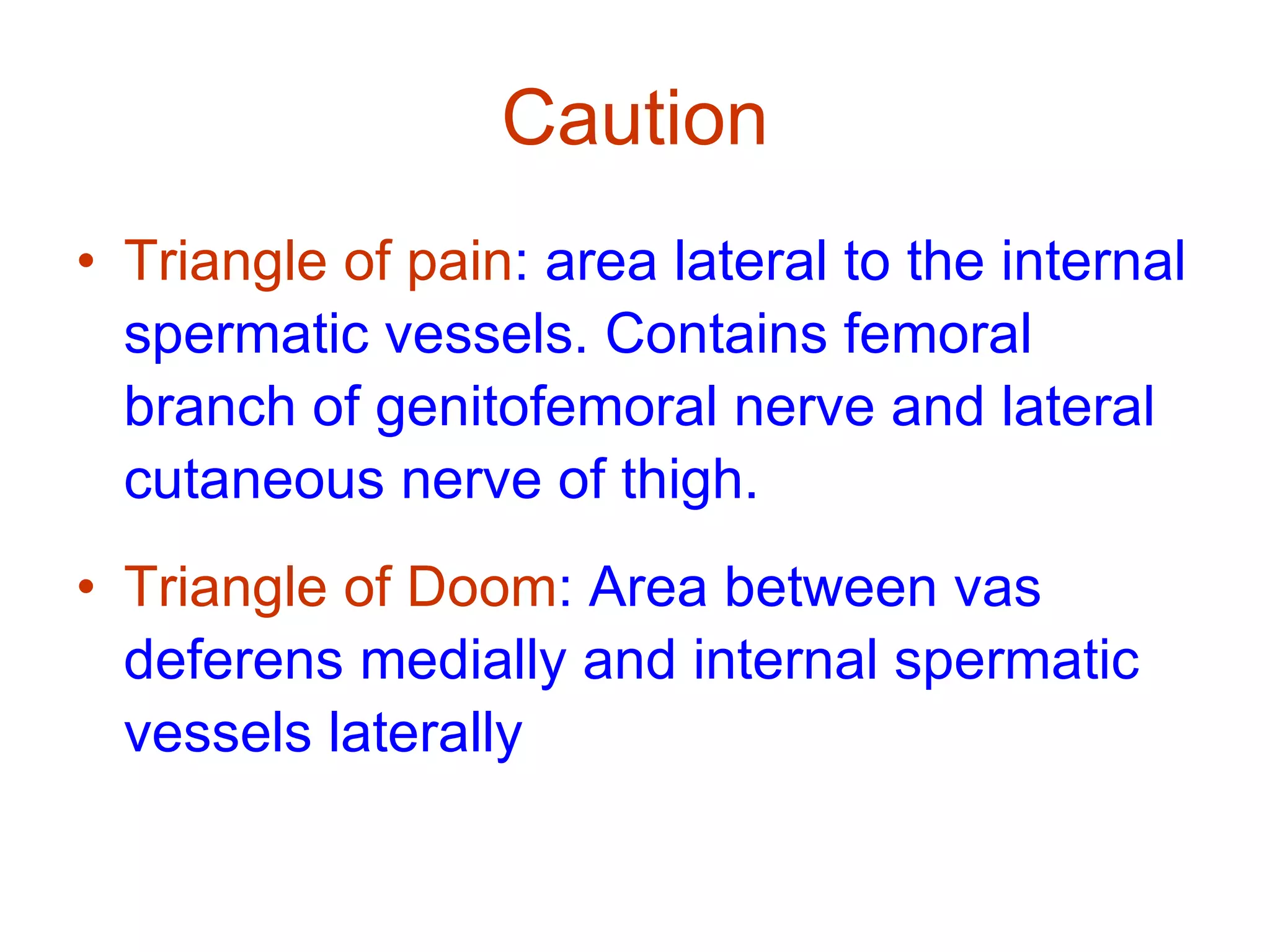Laparoscopic groin hernia repair anatomy & technique | PPT