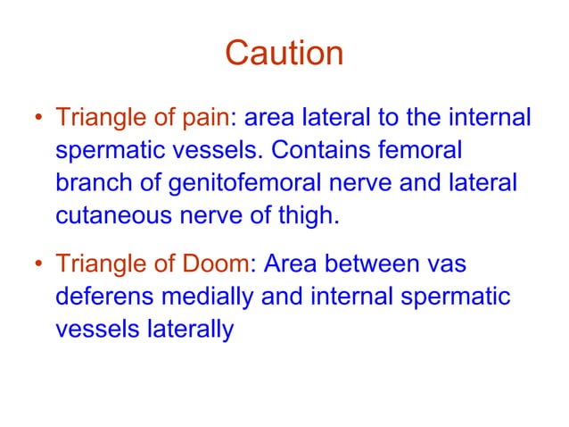 Laparoscopic groin hernia repair anatomy & technique | PPT