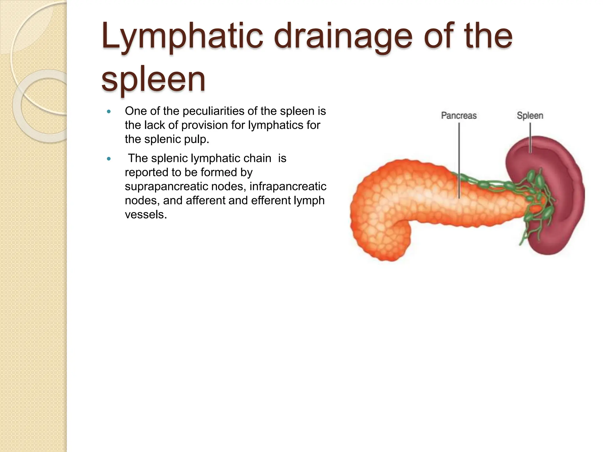 Anatomy and physiology of spleen and laparoscopic management of splenic ...