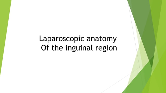 Laparoscopic retroperitoneal triple neurectomy | PPT
