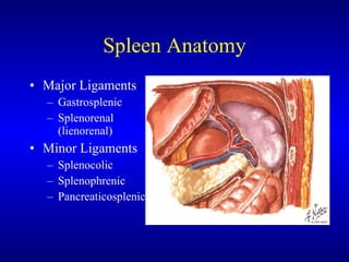 Laparoscopic Splenectomy | PPT