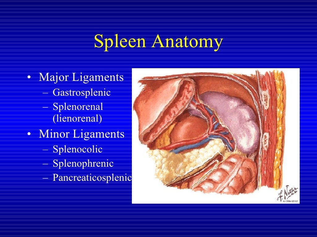 Laparoscopic Splenectomy