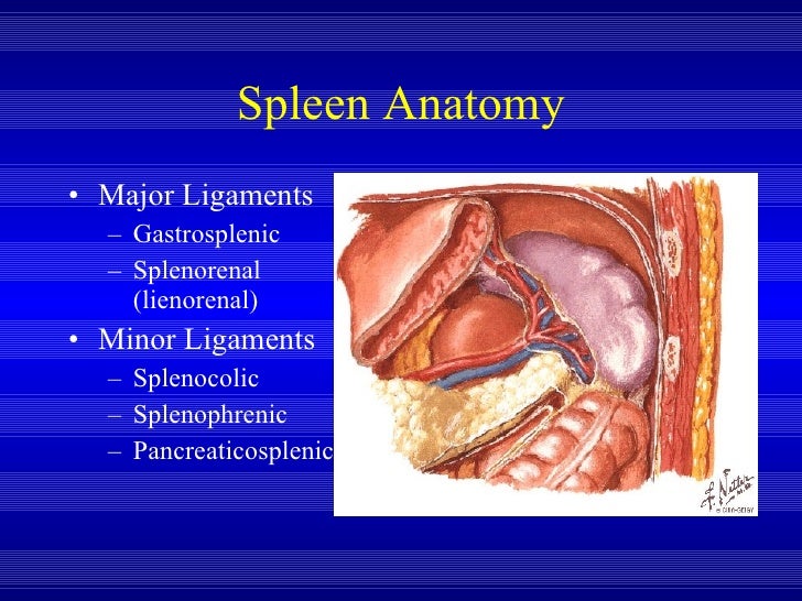 Laparoscopic Splenectomy